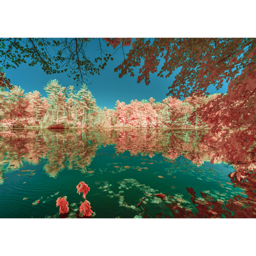 IR Reflections - Spectrum Gallery Online Shop